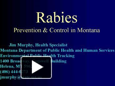 PPT – Rabies Prevention PowerPoint presentation | free to download - id ...