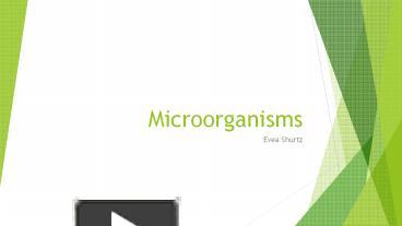 6th grade microorganisms presentation | free to download