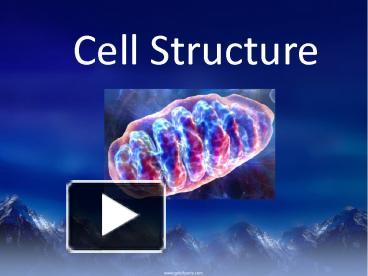 PPT – Cell Structure PowerPoint presentation | free to download - id ...