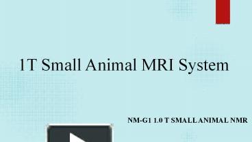 1T Small Animal MRI System presentation | free to download
