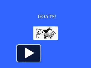 PPT – GOATS! PowerPoint presentation | free to view - id: 845d41-MjFiY