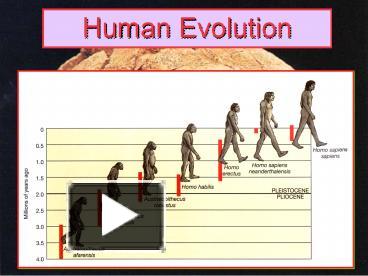 Human Evolution presentation | free to view