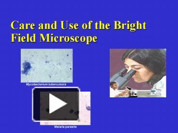 PPT – Care and Use of the Bright Field Microscope PowerPoint ...