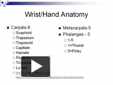PPT – Wrist/Hand Anatomy PowerPoint presentation | free to download ...