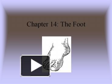 Vigorous heel cord stretching and exercises that increas presentation ...
