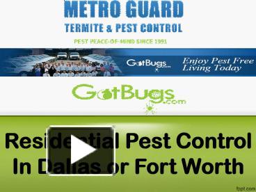 PPT – Residential Pest Control In Dallas or Fort Worth PowerPoint ...