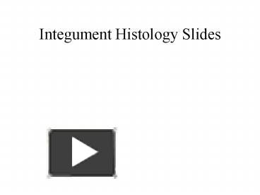 Integument Histology Slides presentation | free to view