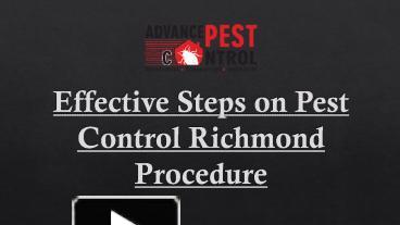 PPT – Effective Steps on Pest Control Richmond Procedure PowerPoint ...