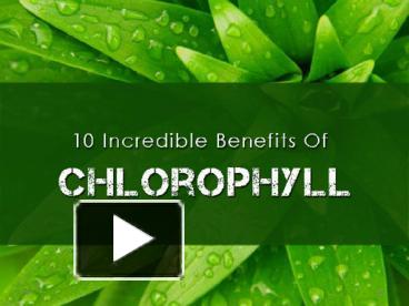 PPT – 10 Incredible Benefits Of Chlorophyll PowerPoint presentation ...