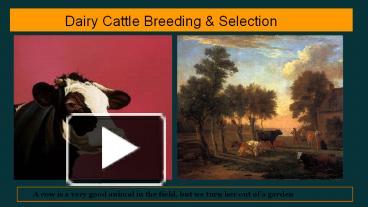 PPT – Dairy Cattle Breeding & Selection PowerPoint presentation | free ...