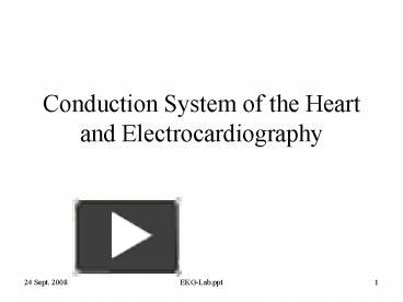 PPT – Conduction System of the Heart and Electrocardiography PowerPoint ...