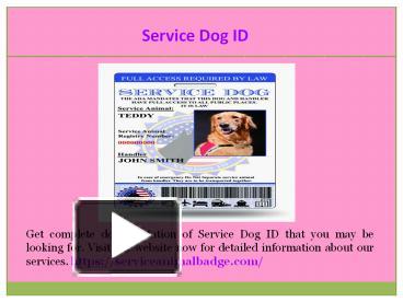 Service Animal Identification (1) presentation | free to download