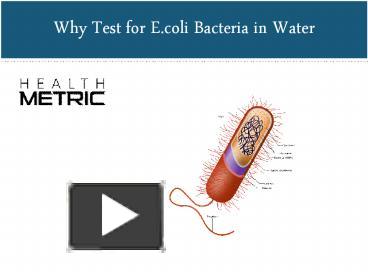PPT – Why Test for E.coli Bacteria in Water PowerPoint presentation ...