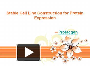 PPT – Stable Cell Line Construction for Protein Expression PowerPoint ...