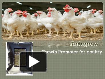 Poultry growth promoter presentation | free to download