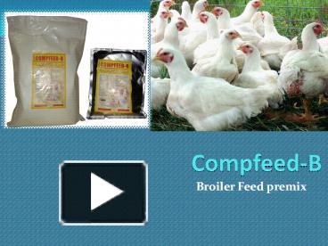 Poultry feed supplement presentation | free to download