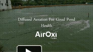 PPT – Diffused Aeration For Good Pond Health - AirOxi Tube PowerPoint ...