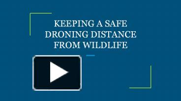 PPT – KEEPING A SAFE DRONING DISTANCE FROM WILDLIFE PowerPoint ...