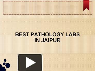 PPT – Liver Function Test in Jaipur PowerPoint presentation | free to ...