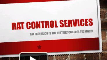 An Overview Of Rats & Rat Control Services presentation | free to download