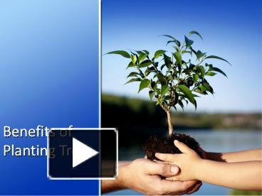 PPT – Benefits of Planting Trees PowerPoint presentation | free to ...