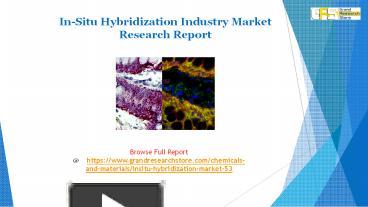 PPT – In-Situ Hybridization Industry Market Research Report PowerPoint ...
