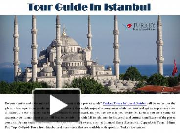 Tour Guide In Istanbul presentation | free to download
