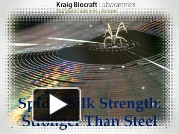 Spider Silk Strength: Stronger Than Steel presentation | free to download