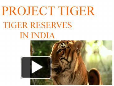 PPT on Project tiger presentation | free to download