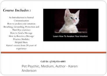 PPT – Animal Communication Courses & Film PowerPoint presentation ...