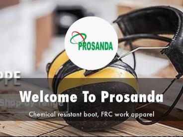 Detail Presentation About PROSANDA presentation | free to download