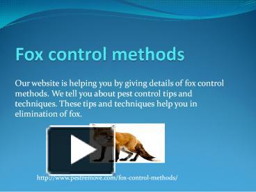 PPT – Fox control methods PowerPoint presentation | free to download ...