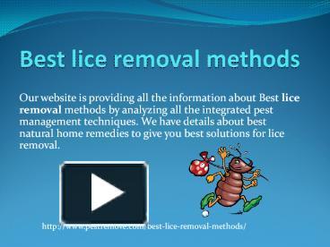 BEST LICE REMOVAL METHODS presentation | free to download