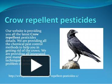 PPT – CROW REPELLENT PESTICIDES PowerPoint presentation | free to ...