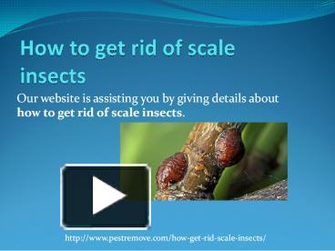 HOW TO GET RID OF SCALE INSECTS presentation | free to download
