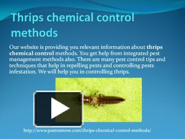 PPT – THRIPS CHEMICAL CONTROL METHODS PowerPoint presentation | free to ...