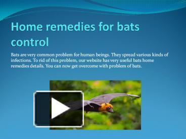 HOME REMEDIES FOR BATS CONTROL presentation | free to download