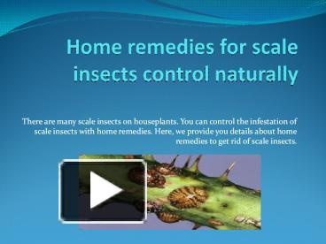 HOME REMEDIES FOR SCALE INSECTS CONTROL NATURALLY presentation | free ...