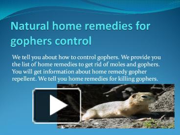 PPT – NATURAL HOME REMEDIES FOR GOPHERS CONTROL PowerPoint presentation ...