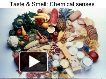 PPT – Taste PowerPoint presentation | free to view - id: 8af2c-ZDc1Z