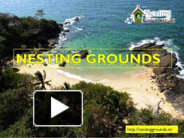 PPT – Nesting Grounds PowerPoint presentation | free to download - id ...