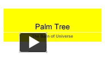 Palm Tree presentation | free to download