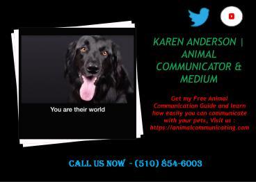 Animal Communication presentation | free to download