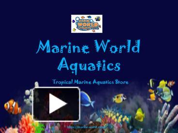 Marine World Aquatics PPT presentation | free to download