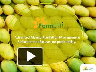 Advanced Mango Plantation Management Software that focuses on ...