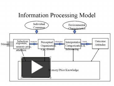 Information Processing Model presentation | free to view