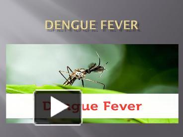 Dengue Fever (1) presentation | free to download
