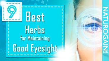 9 Best Herbs for Maintaining Good Eyesight Naturally at Home ...