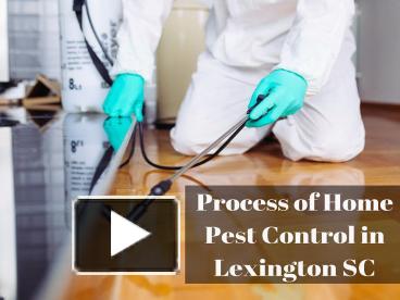 PPT – Process of Home Pest Control in Lexington SC by Columbia ...
