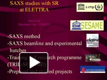 PPT – SAXS studies with SR at ELETTRA Semra Ide Hacettepe Univ' TURKEY ...